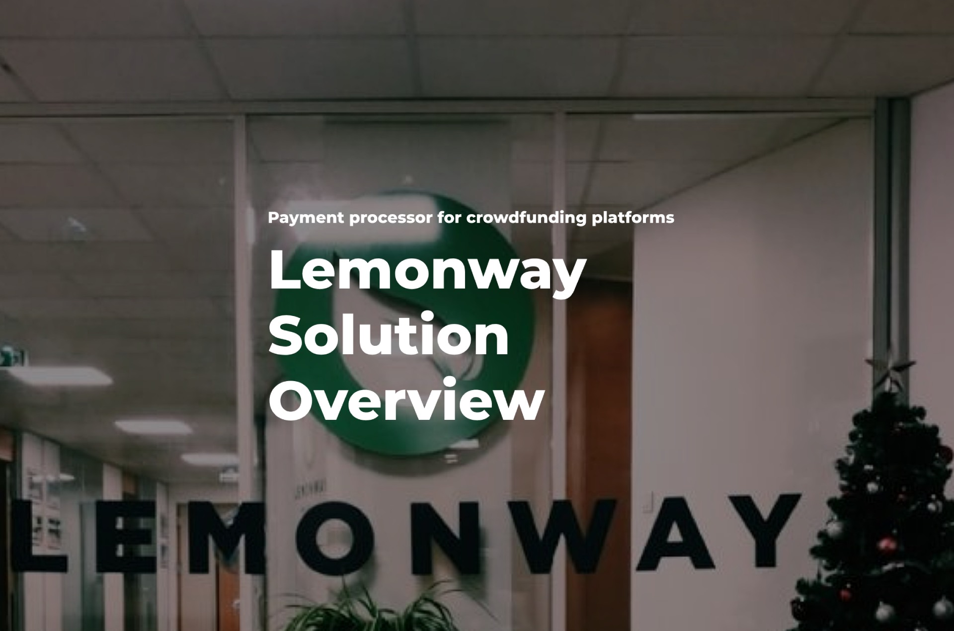 Lemonway Overview: A Payment Processing Provider for Crowdfunding Platforms