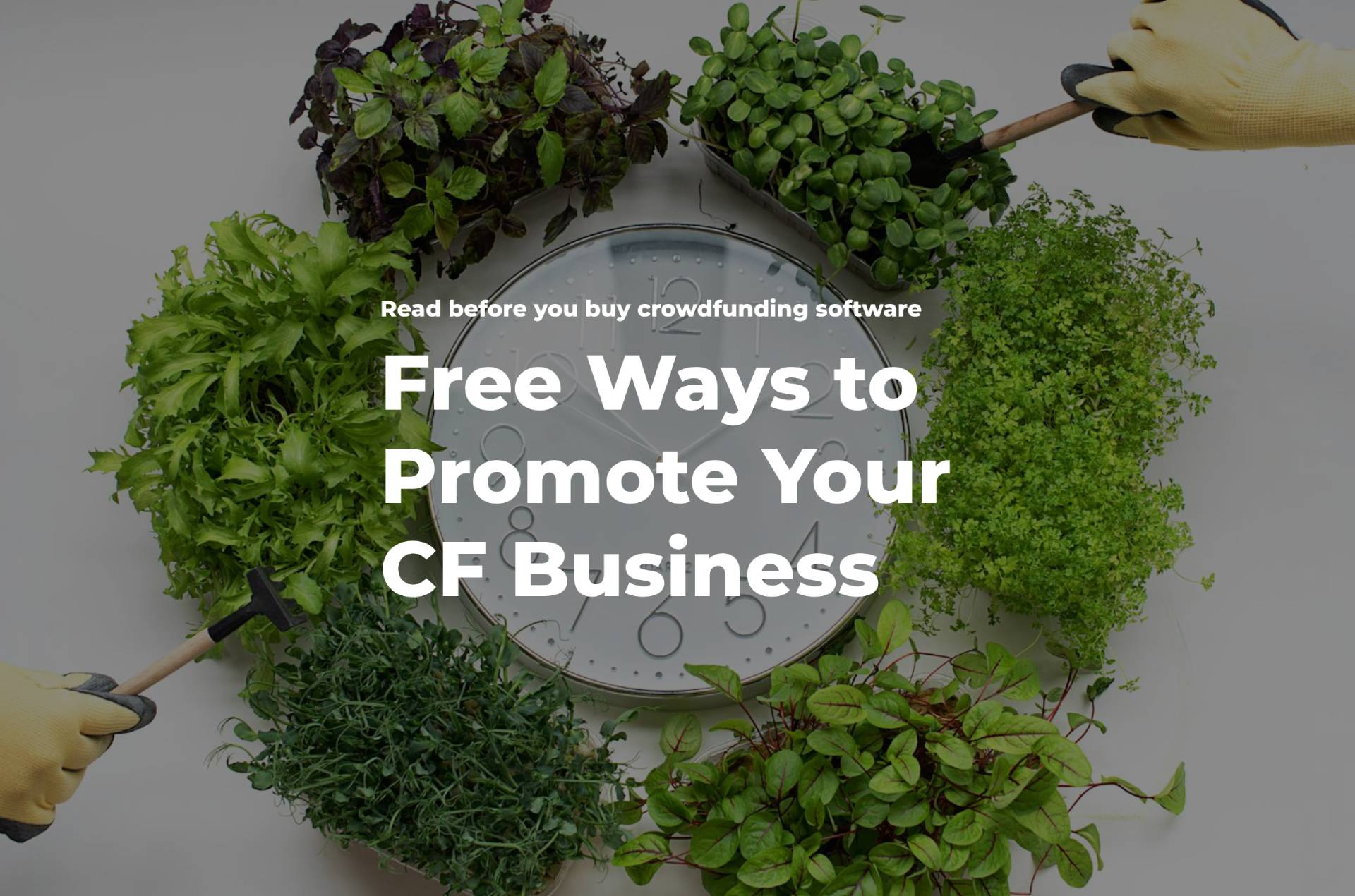 8 Free Ways to Promote a Crowdfunding Business