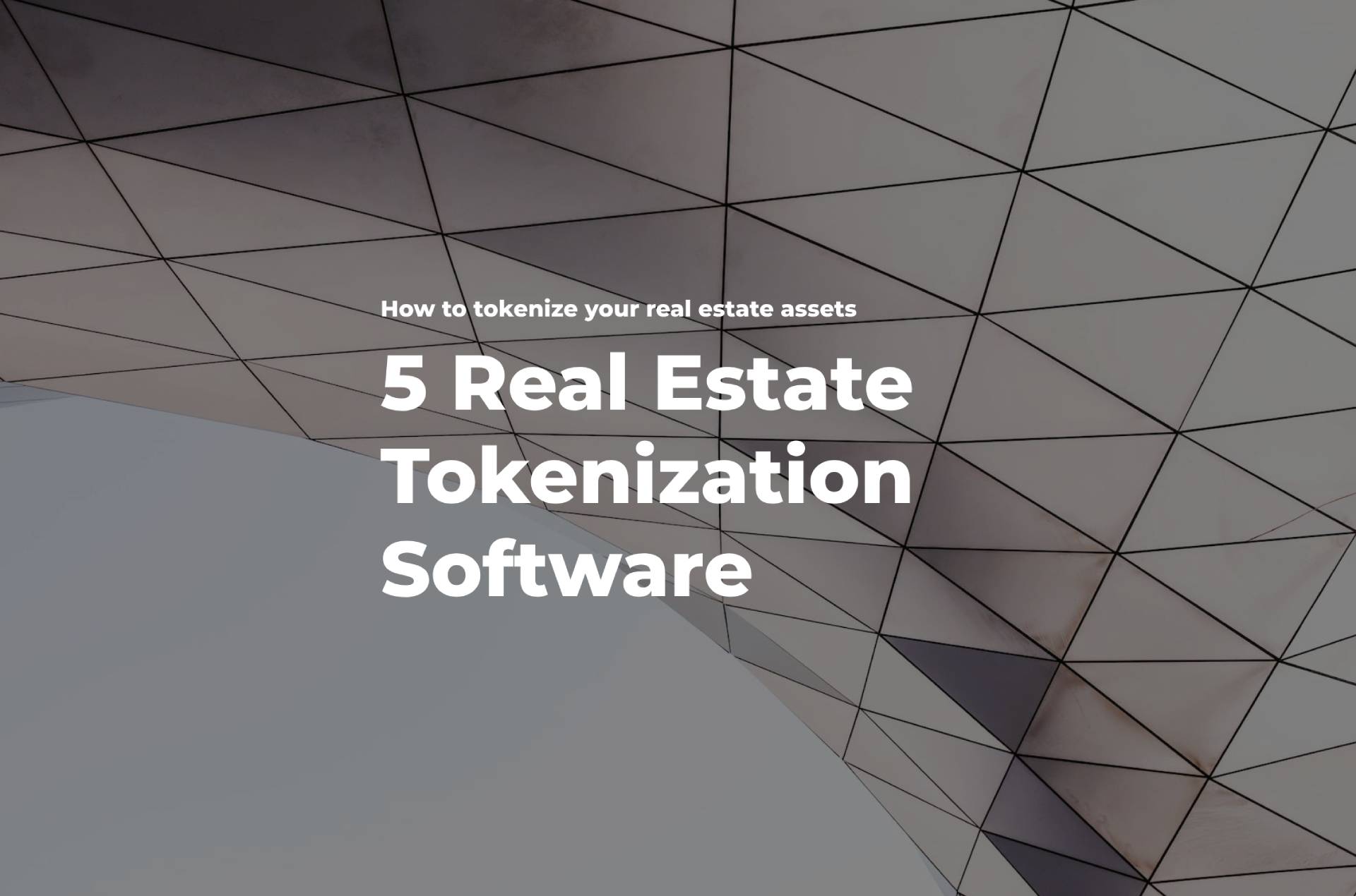Top 5 Real Estate Tokenization Software