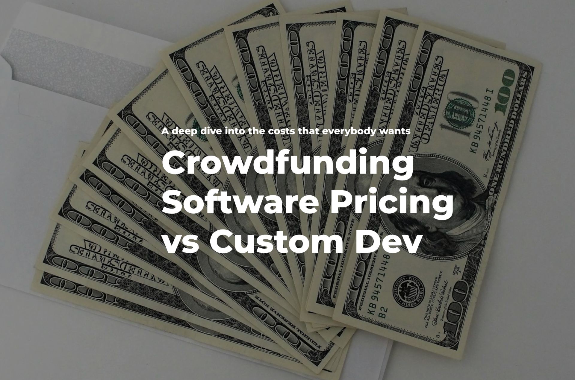Crowdfunding Software Pricing and Custom Platform Development Costs