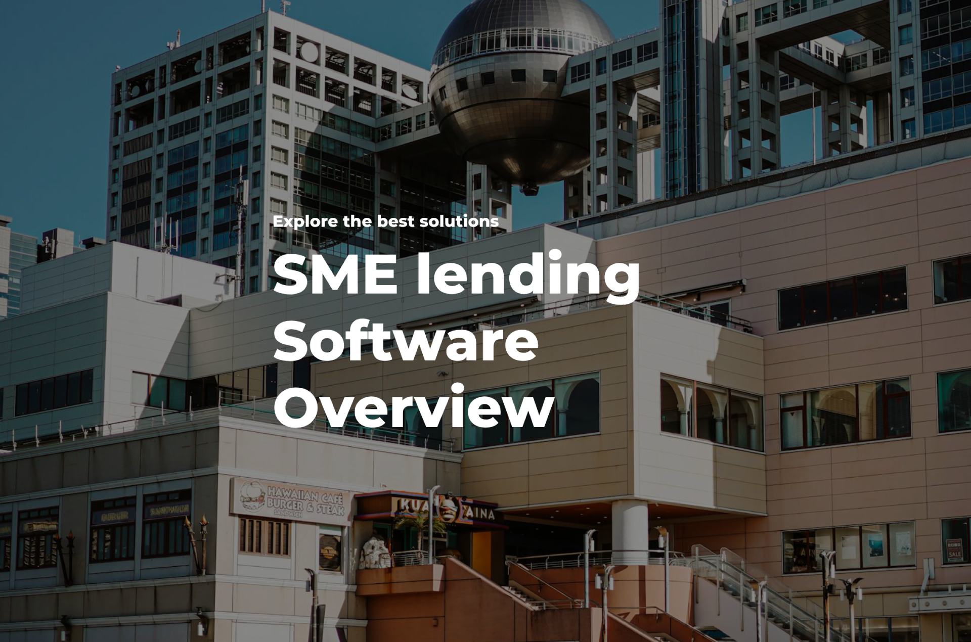 SME Lending Software Overview