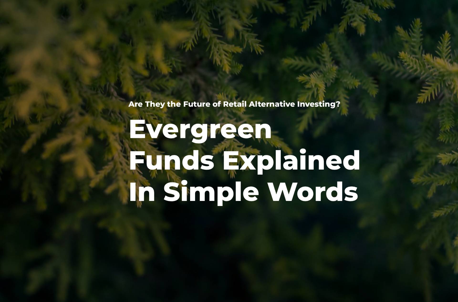 Evergreen Funds Explained: Are They the Future of Retail Alternative ...